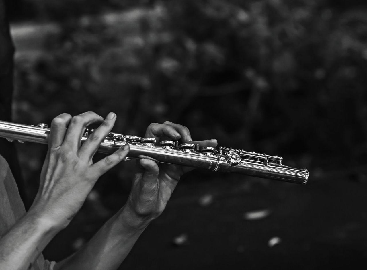 Flute Classes In Bangalore Aurzart Music Store And Music Academy Flute Classes In Bangalore Aurzart Music Store And Music Academy
